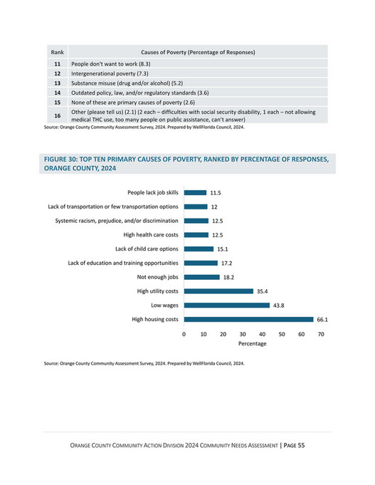 Orange County Government, Florida - OCCAD Needs Assessment Report 2024 ...