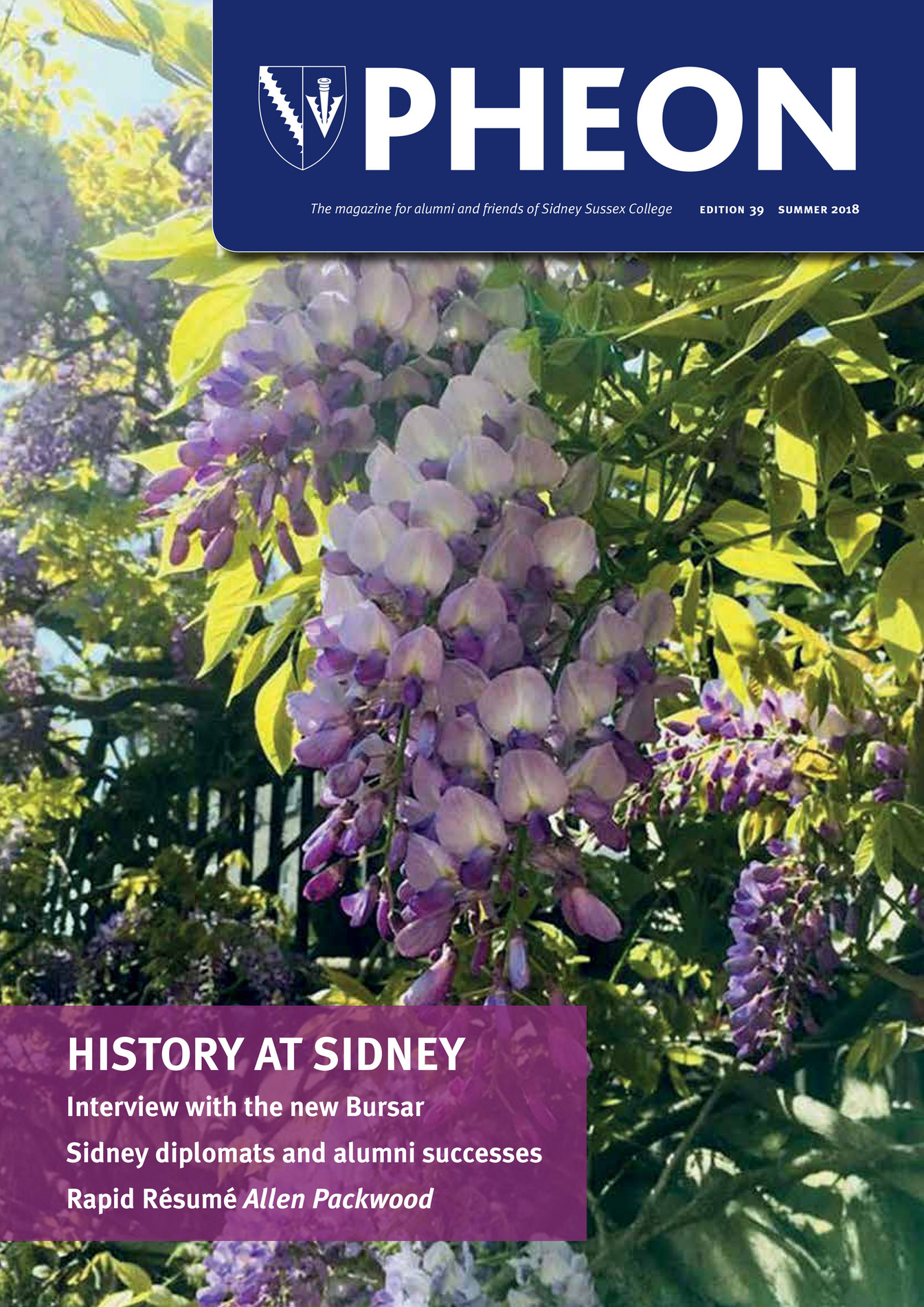 Development Office PDFs - Pheon 39, Summer 2018 - Page 2-3 - Created ...