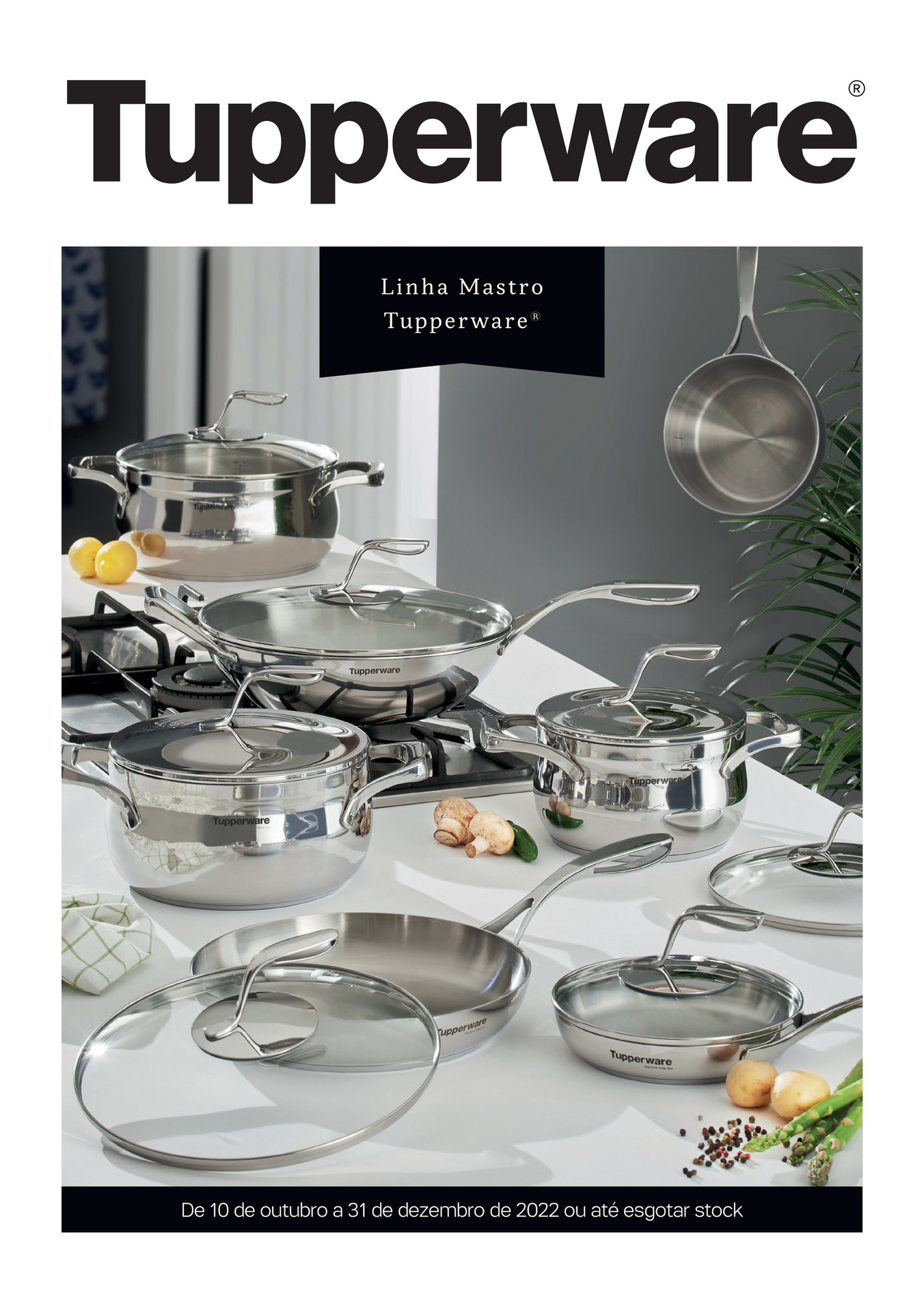 My publications - Linha Mastro Tupperware - Page 1 - Created with ...