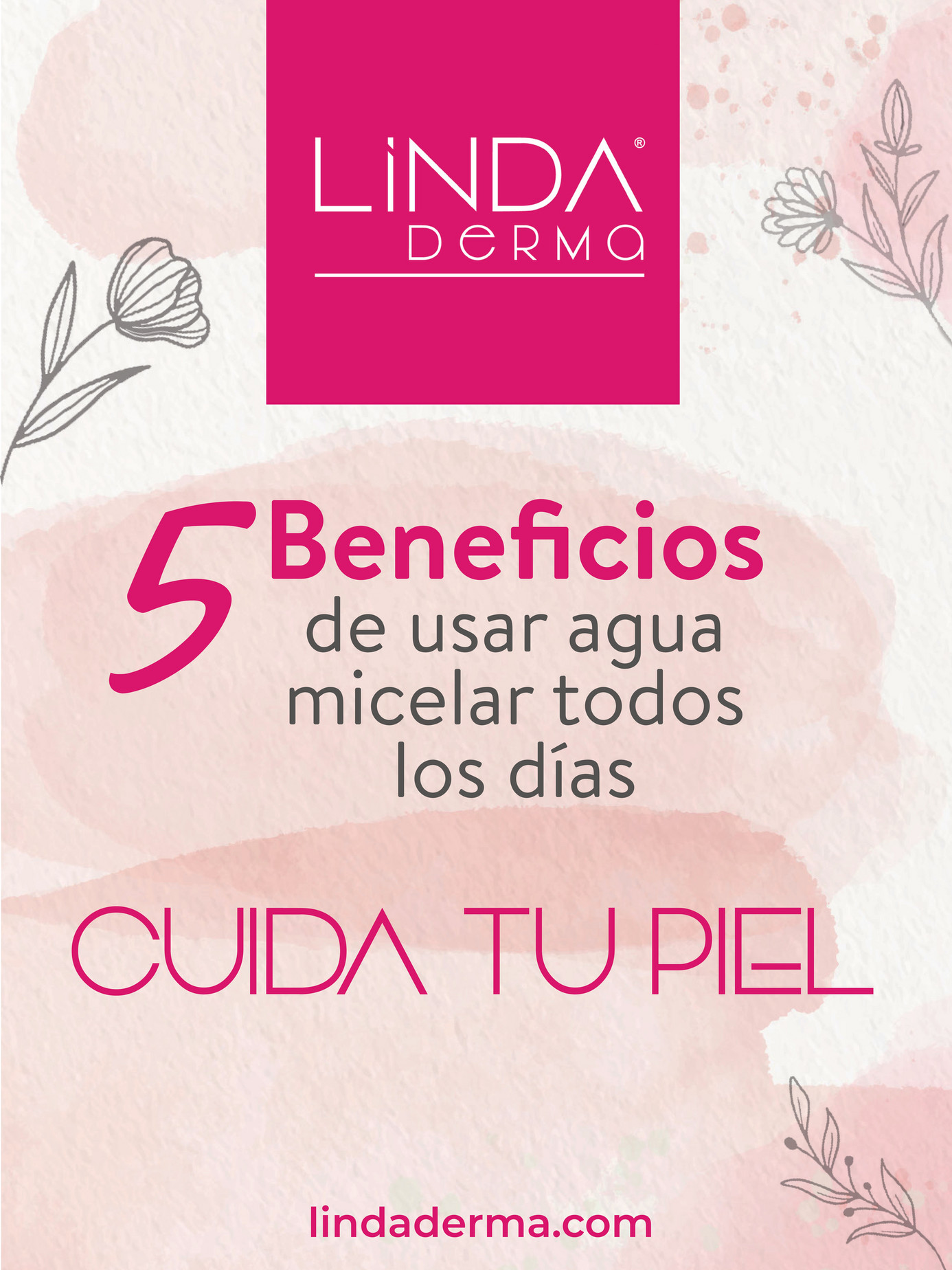 Grupo Medios - 5 Beneficios agua micelar - Linda Derma - Página 1