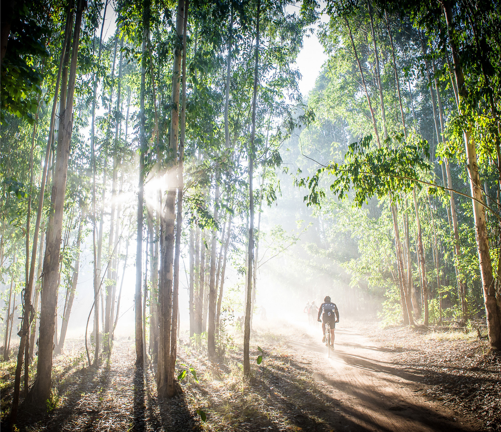 Jetline Action Photo - Nedbank sani2c 2015 Book - Page 1 - Created with ...