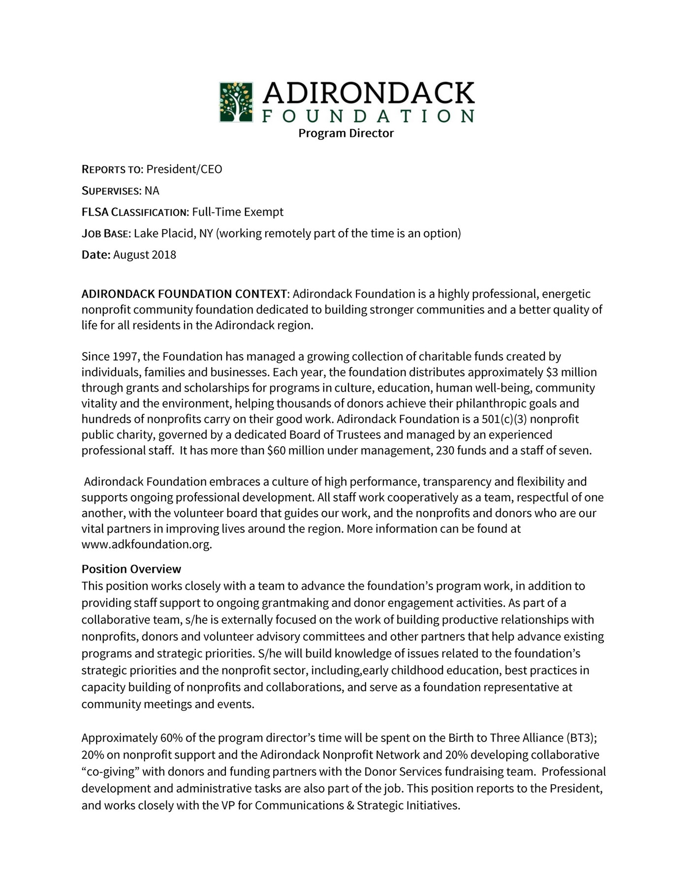 Program Director Job Description Non Profit Free Online Document program-director-job-description-non-profit-free-online-document
