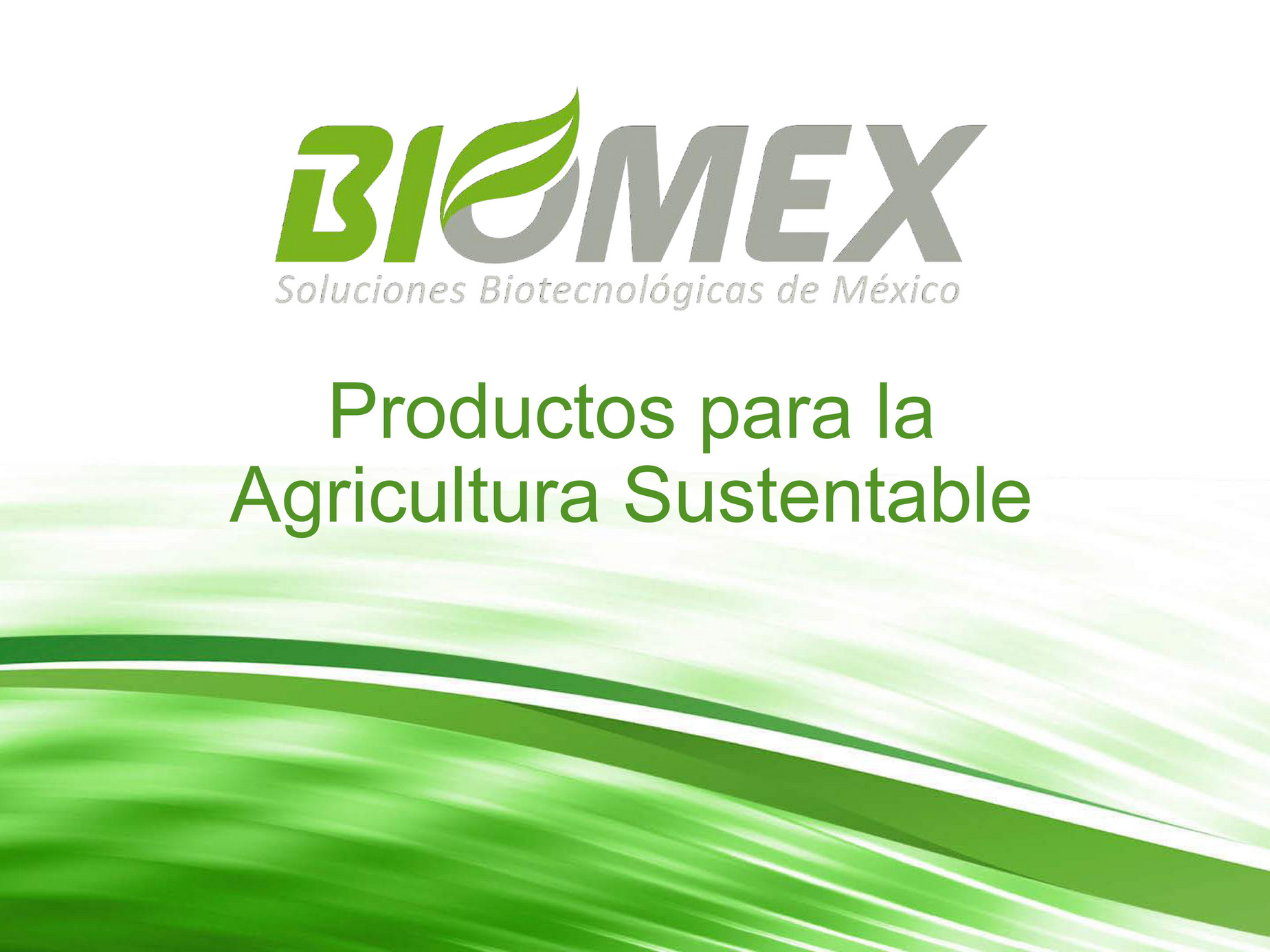 BIOMEX - CATALOGO NUTRICION AGRICULTURA ORGANICA BIOMEX 2019 - Page 2-3 ...