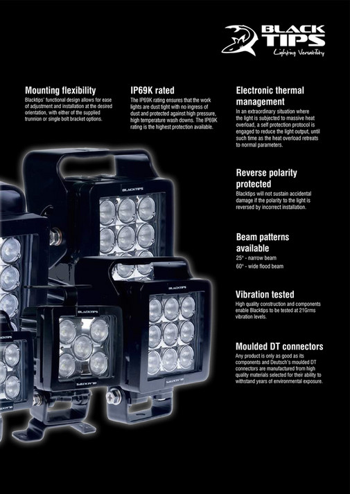 NAPA Auto Parts - Blacktips Worklights - Page 2-3