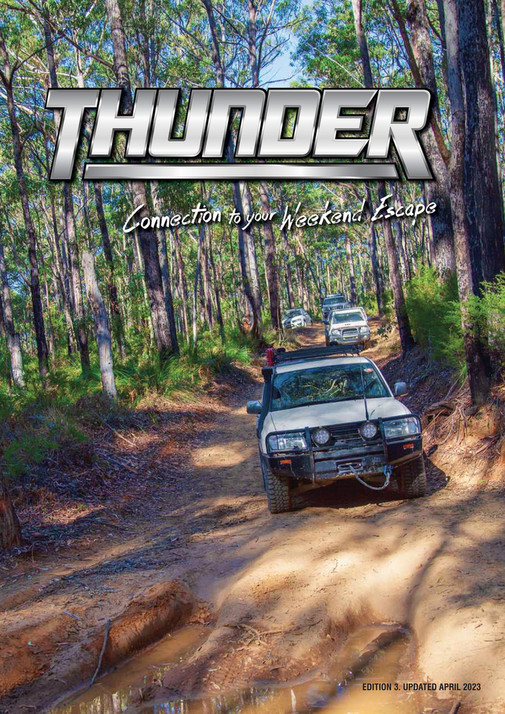 NAPA Auto Parts - THUNDER Catalogue - Edition 3 - Page 42