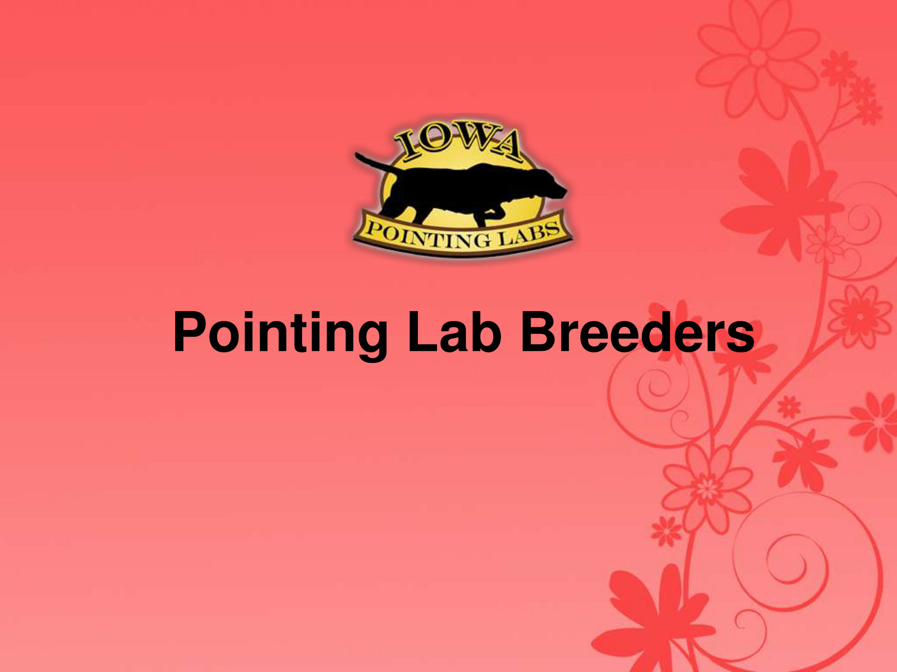 Iowa Pointinglabs - Pointing Lab Breeders - Page 1 - Created with ...