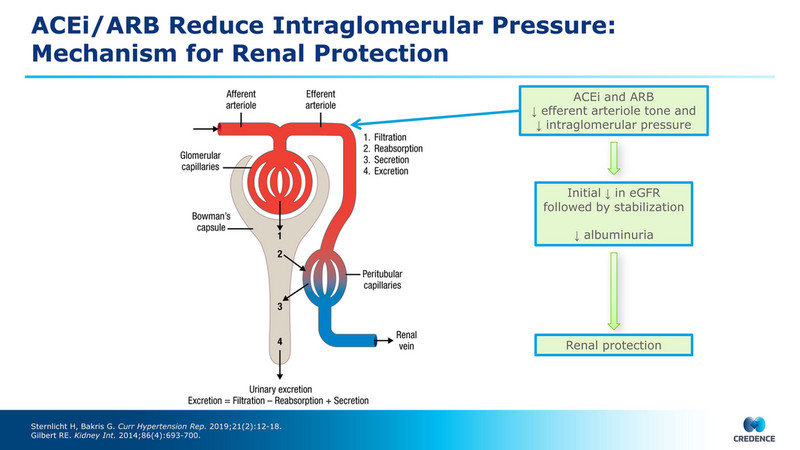George Institute - CREDENCE trial results and slides - ISNWCN - Page 10 ...