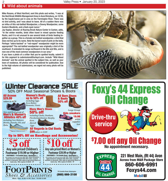 My publications - VAL_012023_P - Page 2-3