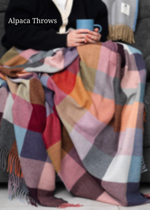 My publications - SS Catalogue McNutt 2025 NC - Page 20-21 - Created with Publitas.com