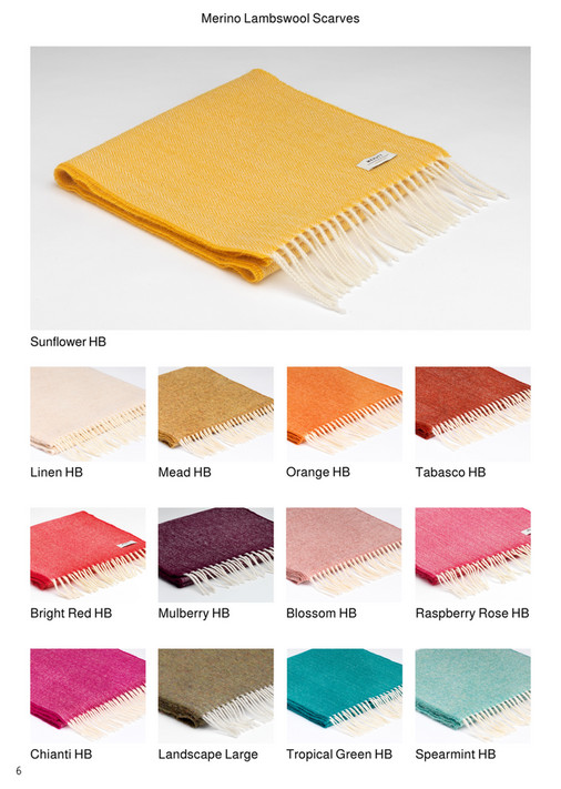 My publications - SS Catalogue McNutt 2025 Michael O'Shea - Page 6-7 - Created with Publitas.com