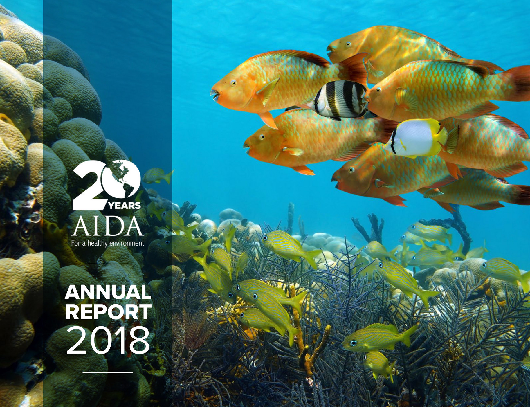 AIDA - Annual Report 2018 - Page 1 - Created with Publitas.com