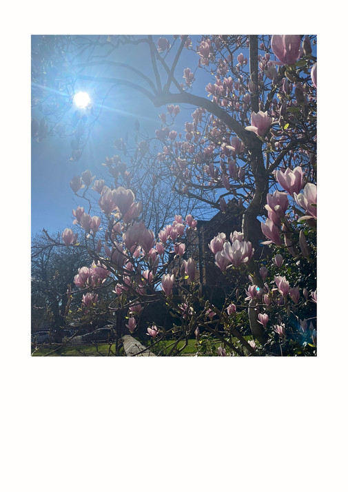 Old Swinford Hospital - Spring Newsletter 2025 - Page 2-3 - Created with Publitas.com