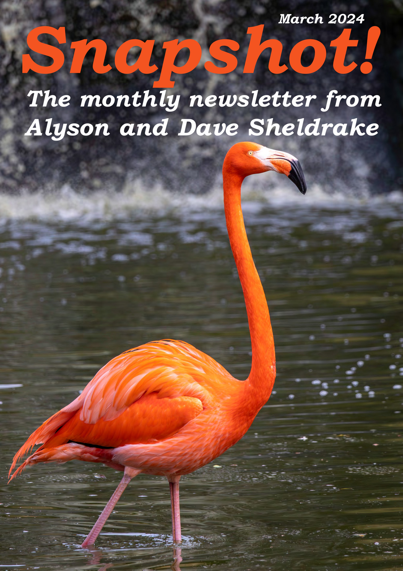 Alyson & Dave Sheldrake - Snapshot! March 2024 - Page 1 - Created with Publitas.com