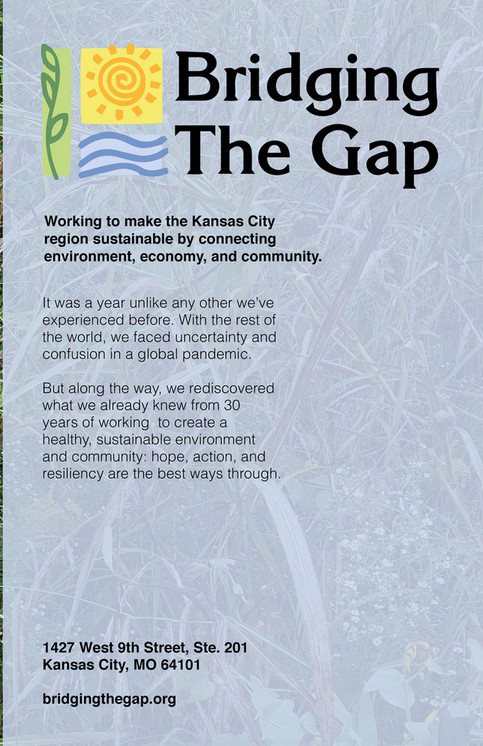 Bridging The Gap - Bridging The Gap Annual Report FY 2020-21 - Page 2-3 ...