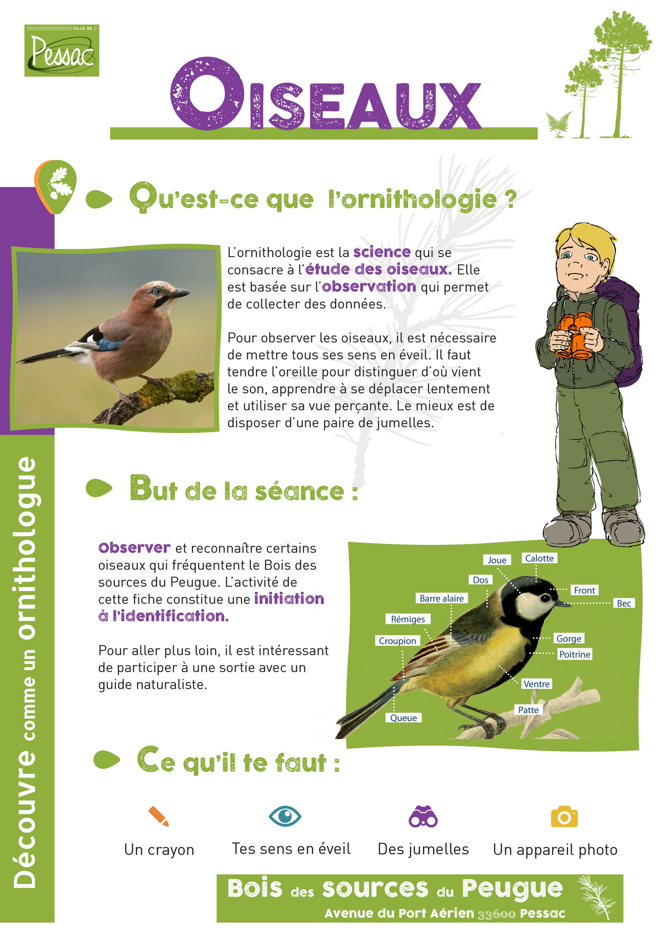 Ville de Pessac - Fiche pédagogique du Bois des sources du Peugue - les ...