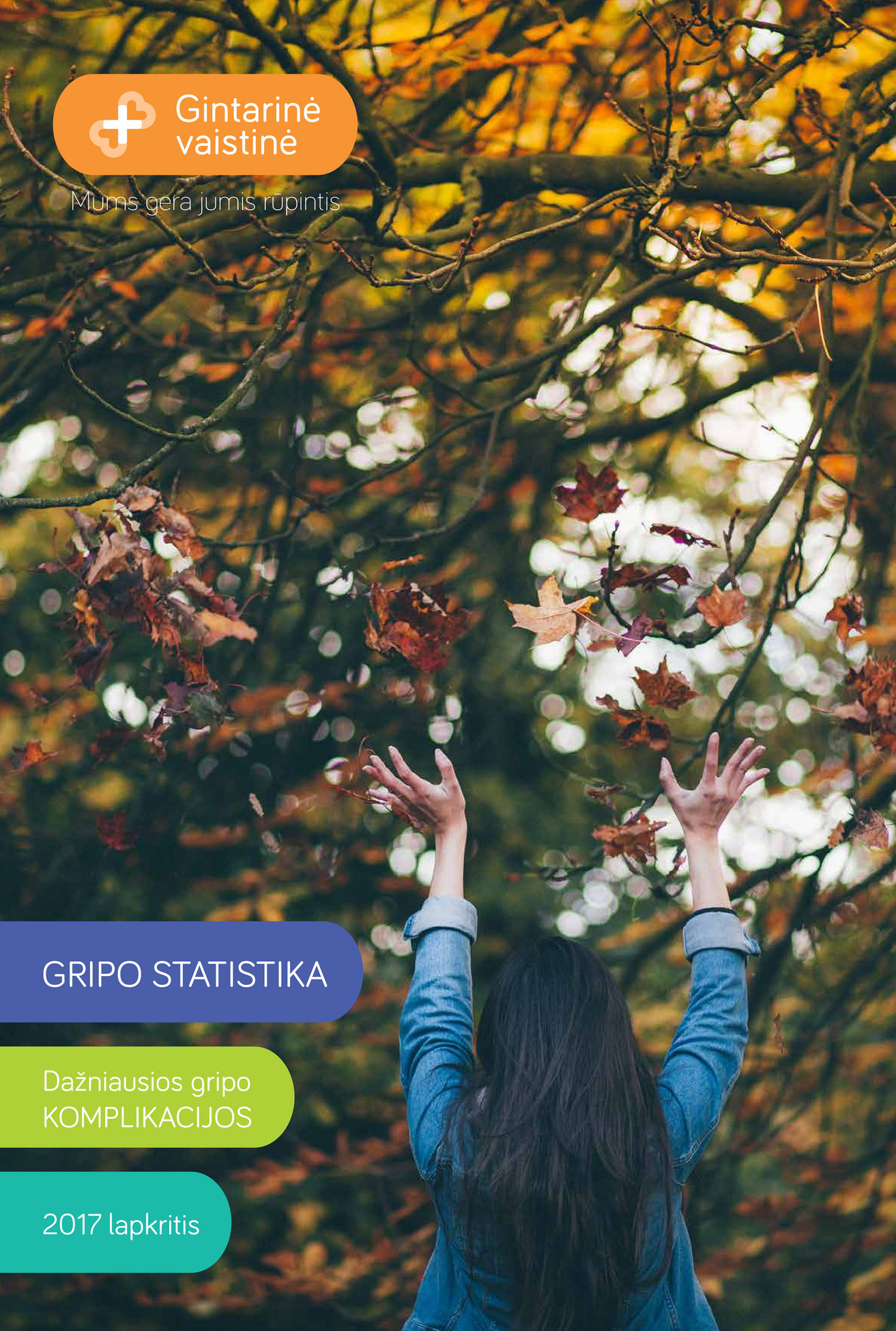 Reklaminiai-leidiniai - GV-11-2017 - Puslapis 2-3 - Created with ...