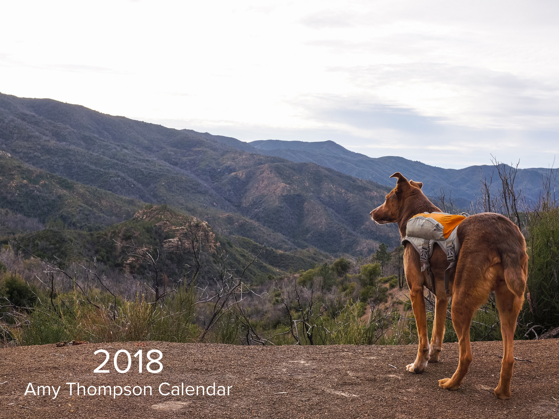 Erin Sheets UI/UX - Amy Thompson Calendar - Page 2-3 - Created with ...