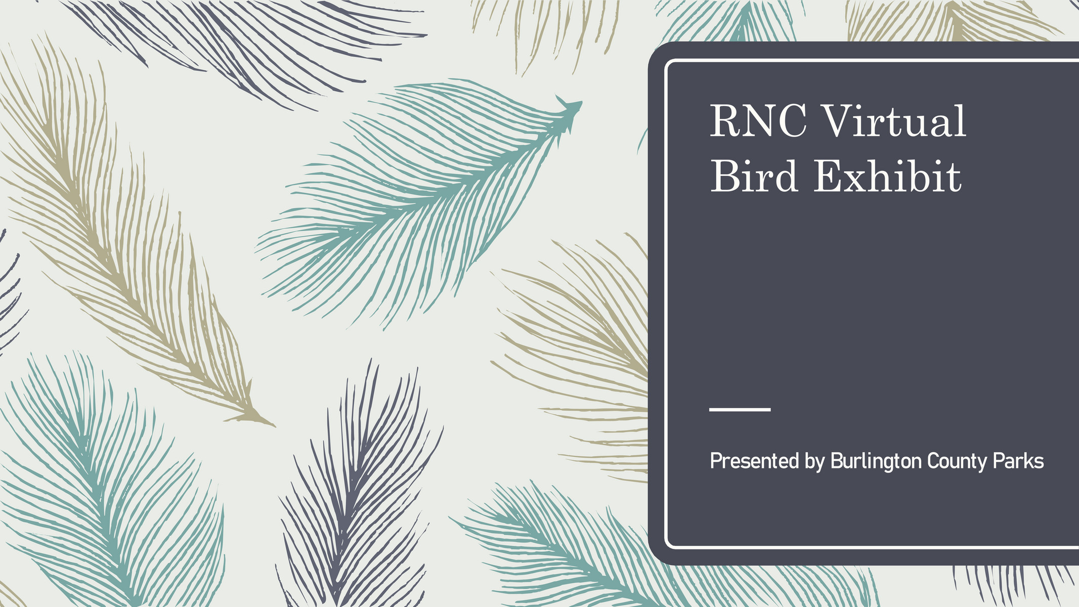 My publications - RNC Virtual Bird Exhibit - Page 4-5 - Created with ...