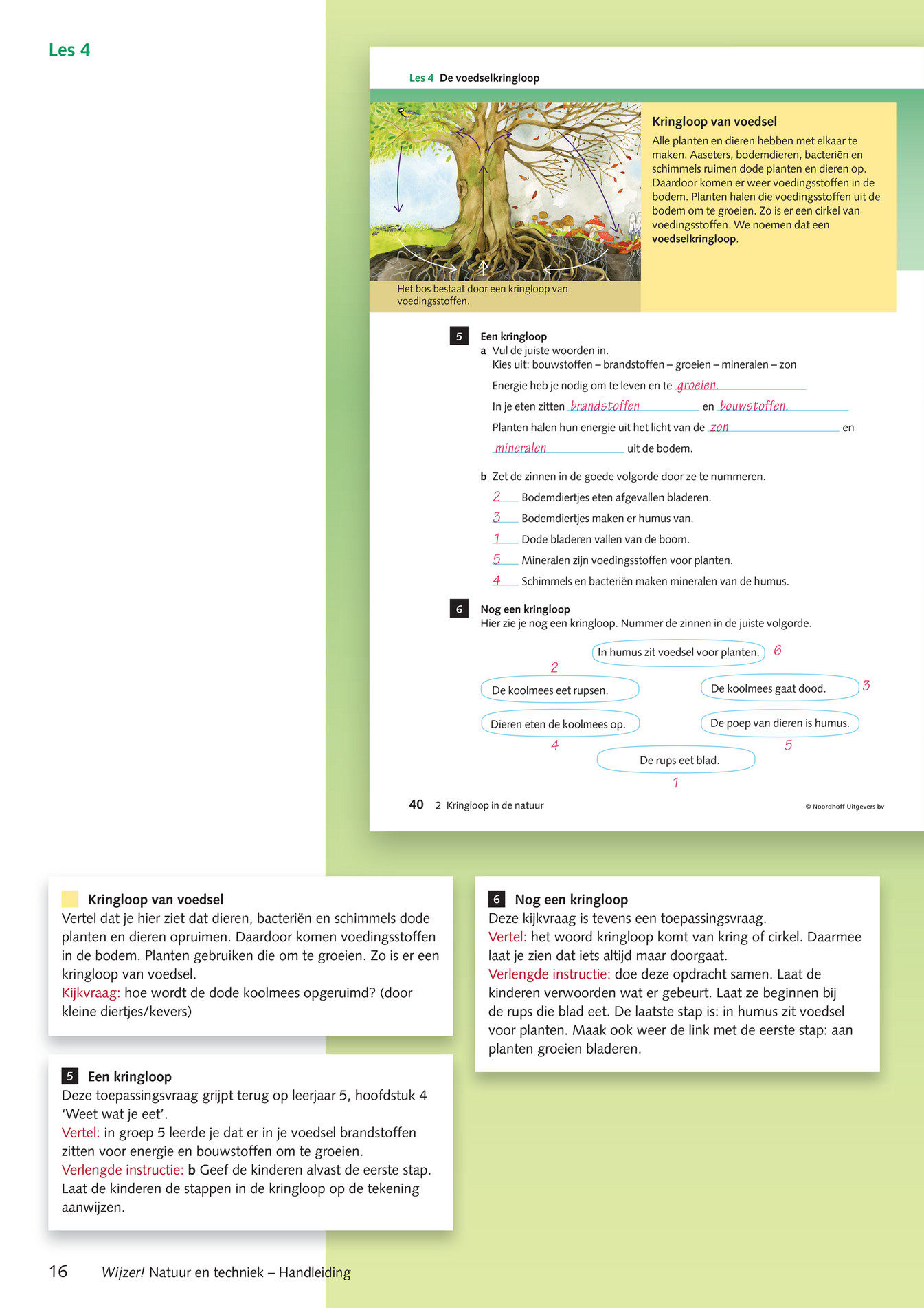 Werkblad Waterkringloop 4e Leerjaar Water | Kleuteridee
