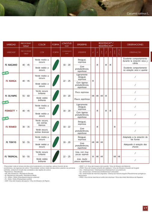 Agrinova - Technisem Catálogo Semillas - Page 16-17 - Created with Publitas.com