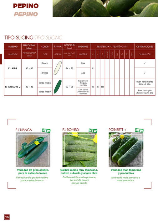 Agrinova - Technisem Catálogo Semillas - Page 16-17 - Created with Publitas.com