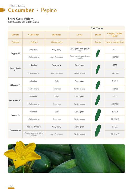 Agrinova - Seed Catalog - Page 12-13 - Created with Publitas.com