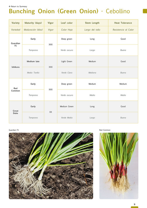 Agrinova - Seed Catalog - Page 8-9 - Created with Publitas.com