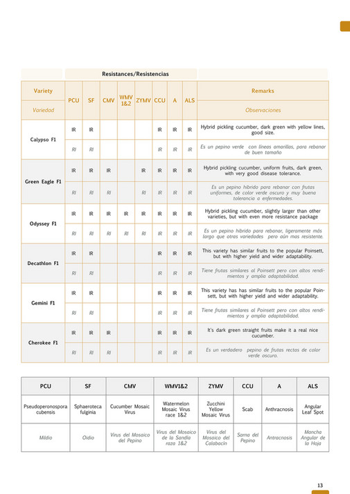 Agrinova - Seed Catalog - Page 12-13 - Created with Publitas.com