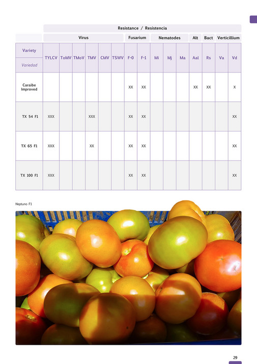 Agrinova - Seed Catalog - Page 28-29 - Created with Publitas.com
