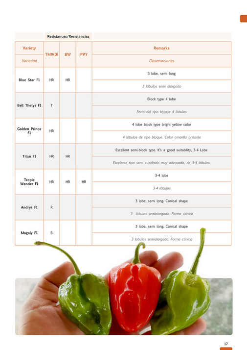 Agrinova - Seed Catalog - Page 16-17 - Created with Publitas.com