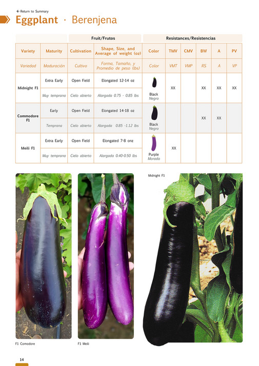 Agrinova - Seed Catalog - Page 14-15 - Created with Publitas.com
