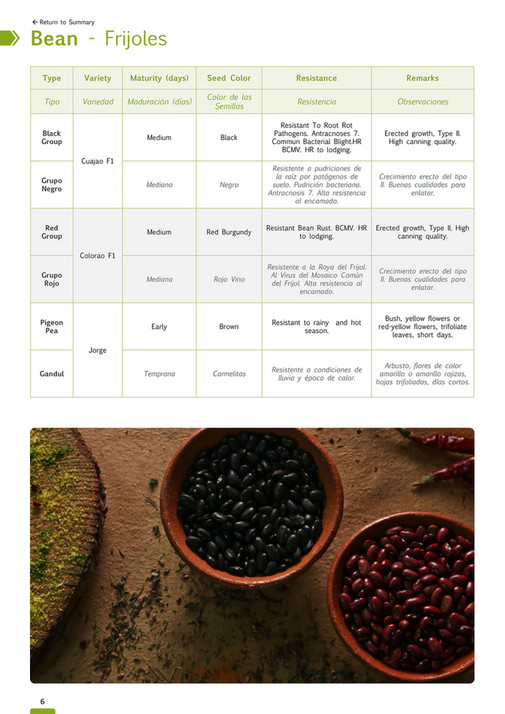 Agrinova - Seed Catalog - Page 6-7 - Created with Publitas.com