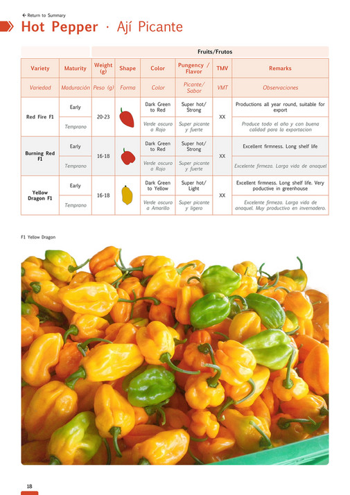 Agrinova - Seed Catalog - Page 18-19 - Created with Publitas.com