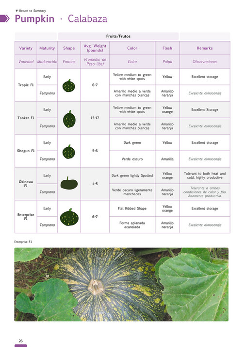 Agrinova - Seed Catalog - Page 26-27 - Created with Publitas.com