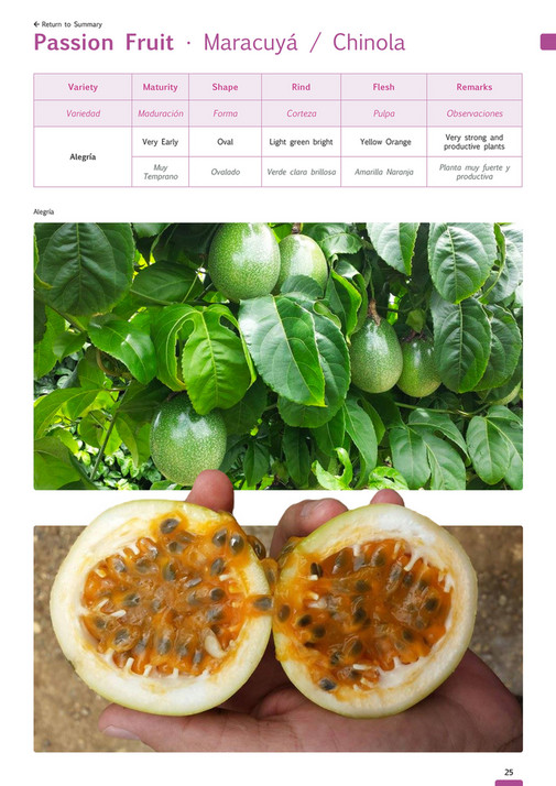 Agrinova - Seed Catalog - Page 24-25 - Created with Publitas.com