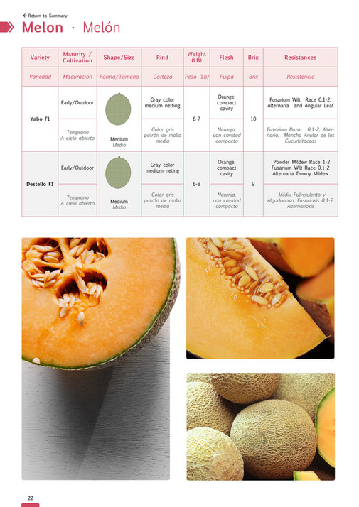 Agrinova - Seed Catalog - Page 22-23 - Created with Publitas.com