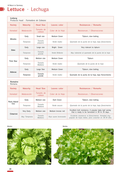 Agrinova - Seed Catalog - Page 20-21 - Created with Publitas.com