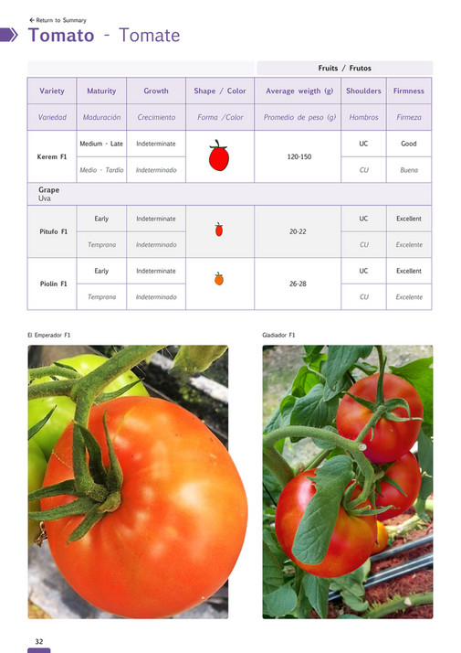 Agrinova - Seed Catalog - Page 32-33 - Created with Publitas.com