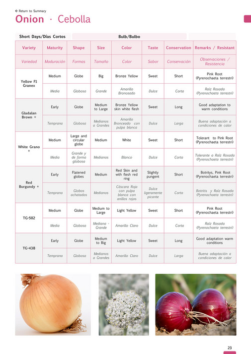 Agrinova - Seed Catalog - Page 22-23 - Created with Publitas.com