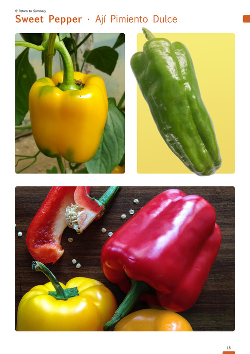 Agrinova - Seed Catalog - Page 14-15 - Created with Publitas.com