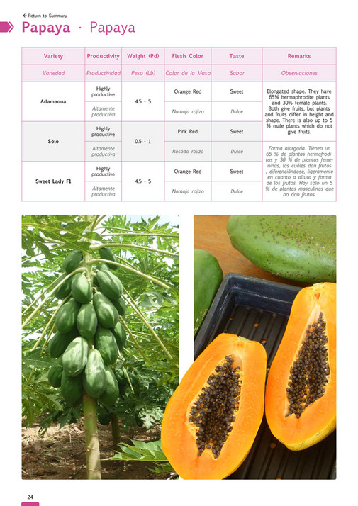 Agrinova - Seed Catalog - Page 24-25 - Created with Publitas.com