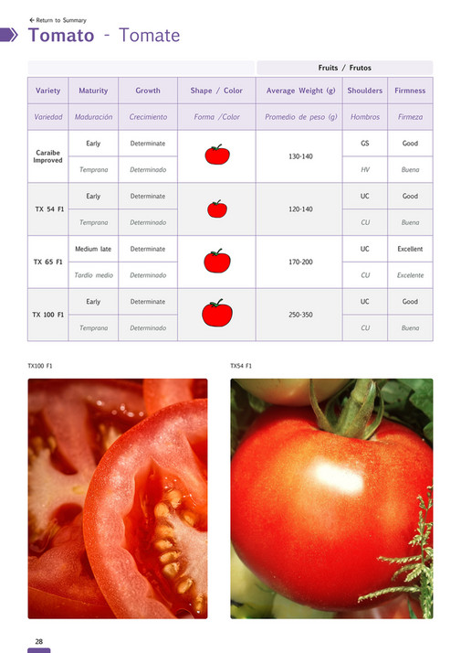 Agrinova - Seed Catalog - Page 28-29 - Created with Publitas.com