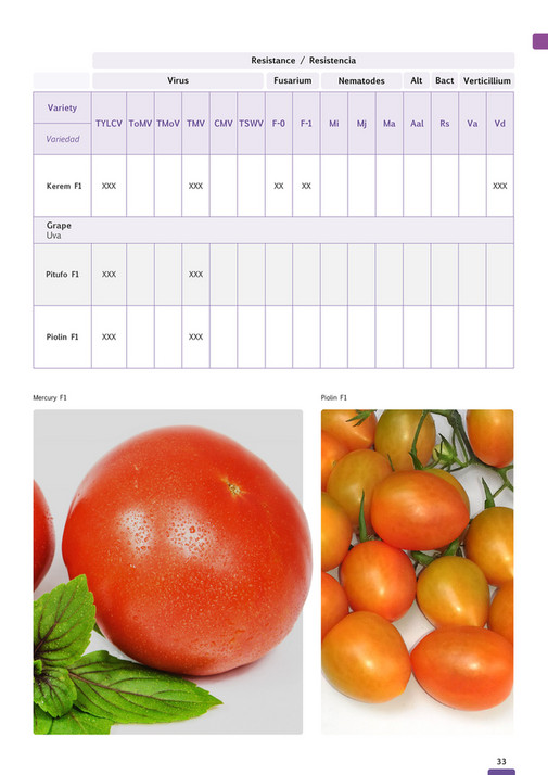 Agrinova - Seed Catalog - Page 32-33 - Created with Publitas.com