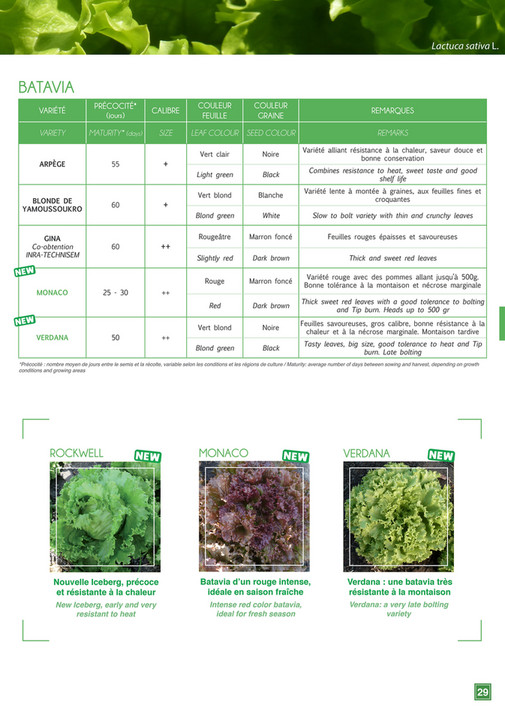 Agrinova - Technisem Seed Catalog - Page 28-29 - Created with Publitas.com