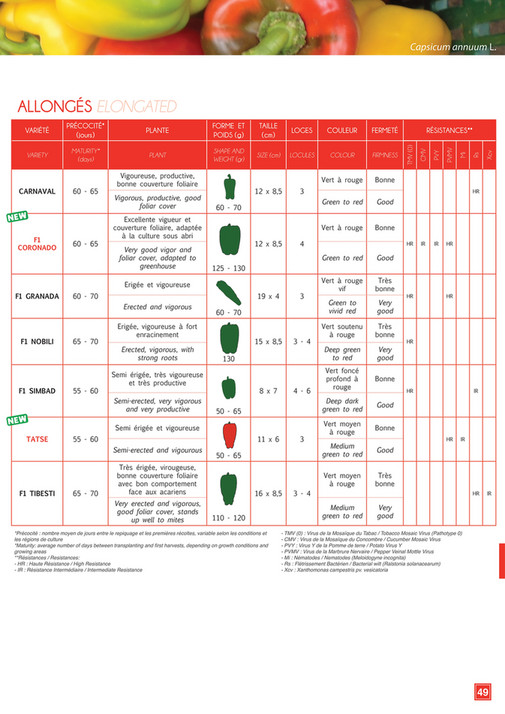 Agrinova - Technisem Seed Catalog - Page 48-49 - Created with Publitas.com