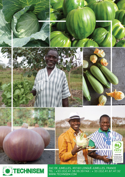 Agrinova - Technisem Seed Catalog - Page 64 - Created with Publitas.com