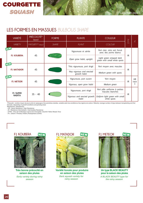 Agrinova - Technisem Seed Catalog - Page 20-21 - Created with Publitas.com