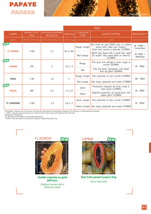 Agrinova - Technisem Seed Catalog - Page 40-41 - Created with Publitas.com