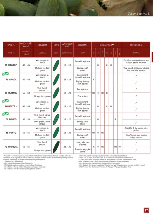 Agrinova - Technisem Seed Catalog - Page 16-17 - Created with Publitas.com