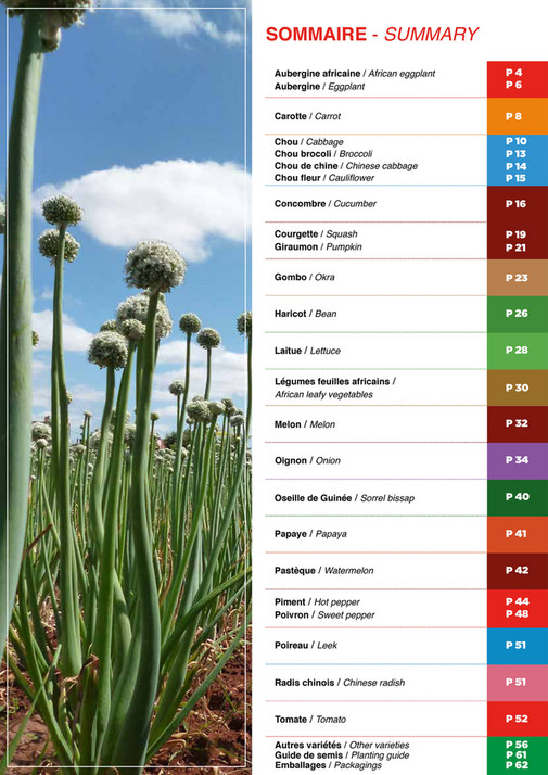 Agrinova - Technisem Seed Catalog - Page 2-3 - Created with Publitas.com